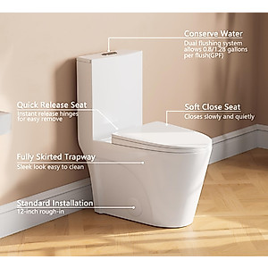 DeerValley Toilet, Elongated One Piece Toilet for Bathrooms, Comfortable Chair Seat Height 17", Dual Power Flush Toilet 1.1/1.6 GPF and MAP 900g, 12'' Rough-In Toilet Bowl