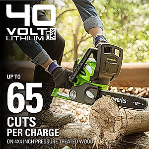 Greenworks 40V 12-Inch Cordless Chainsaw, 2.0Ah Battery and Charger Included 20262 with 40V Hedge Trimmer