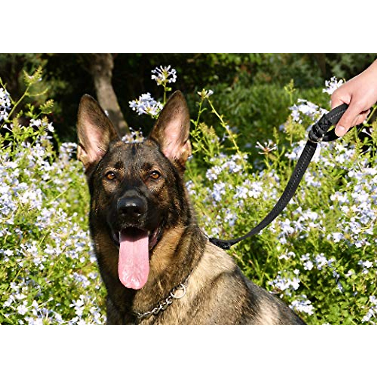 Baby Stroller Pram Wheelchair Safety Wrist Strap or Short Leash for Dog(Black)