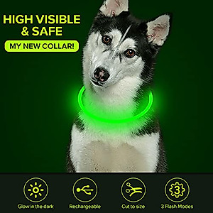 Colaseeme LED Dog Collar Light Up Dog Collars 1 Count USB Rechargeable TPU Glow Safety Basic Dog Collars for Large Medium Small Dogs (Green)