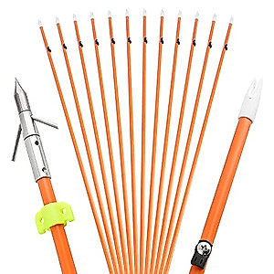 AMEYXGS 6/12pcs Archery Fiberglass Bowfishing Arrow Bow Fishing Arrows with Broadheads and Safty Slides for Compound and Bow Recurve Bow Fishing Hunting (6 PCS)