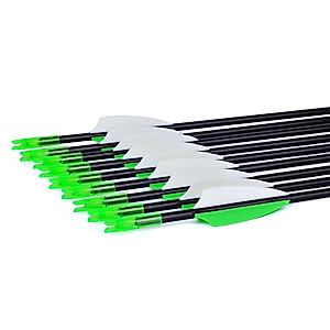 CUPID 31" Training Arrows-Archery Practice Target Arrows with Durable Shaft Blunt Tip for Kids Youth or Beginners on Recurve Bow Long Bow (12pcs Arrows, Green)