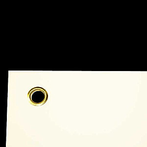 Understanding Allergies Anatomical Chart