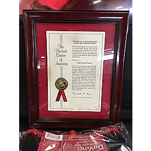 Da Vinci Broom: A Premium Curved Wide Broom a Cleaning Partner for Indoor and Outdoor Spaces, Best Kitchen Broom for Sweeping Indoor, House Brooms for Sweeping Indoor, Broom Garage Broom (1)