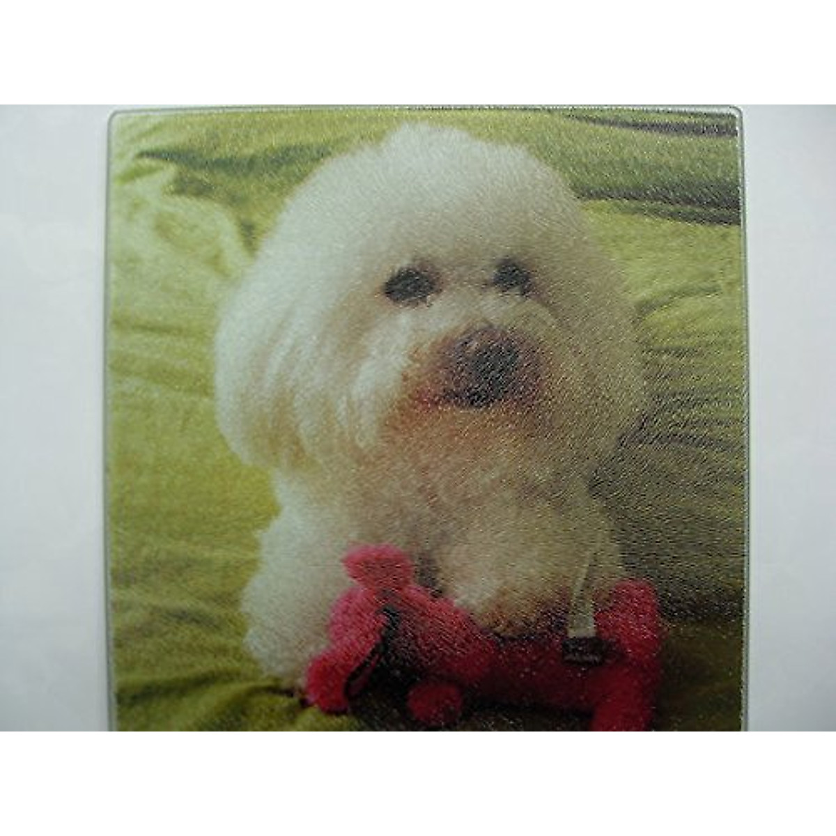 Direct2home 8x8 Bichon Frise Kitchen Counter Art Tempered Glass Cutting Board Surface Saver Bar Prep