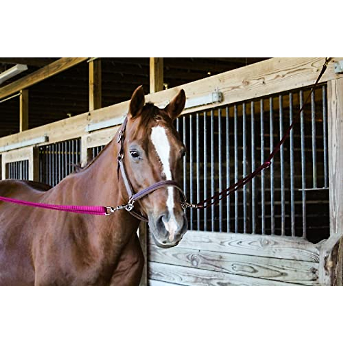 Tack Shack of Ocala Nylon Cross Ties, Set of 2 Cross Ties, Cross Ties for Horses, Quick Release Cross Ties, Stable Supplies, Stable Supplies for Horses (Hunter)