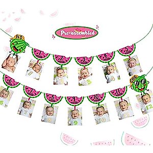 One in a Melon Photo Banner Watermelon 12 Month Photo Prop for First Birthday Party Bunting Decor Summer Fruit Party for Baby Girl
