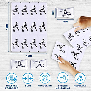 Ice Pack Bulk-Dry Ice for Shipping Frozen Food-Lunch Box Ice Packs-3 Pounds-24+Hours-Slim 15x12in/5x3in-Reusable ice Packs-Freezer Packs-Ice Packs Shipping-Dry ice Packs for shipping-12 Pack-BPA Free