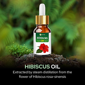 Hibiscus (Hibiscus Sabdariffa L) Essential Oil 100% Pure Uncut Undiluted Cold Pressed Herbal Premium Aromatherapy Oil - 15 ML with Dropper