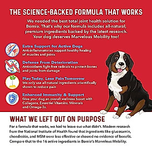Bernie's Marvelous Mobility - Daily Dog Hip and Joint Supplement - Maintains Overall Well Being & Promotes a Healthy Immune System (90 Count)