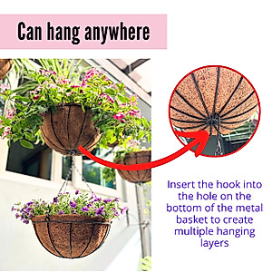 LaLaGreen Hanging Baskets for Plants (3 Pack, 10 Inch) Hanging Planter Outdoor with Coco Liner, Metal Wire Flower Basket Pots Holder Hanger Hook Deck Patio Porch Garden Balcony Outside Decoration