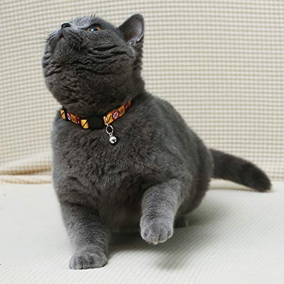 Coomour 2PCS Halloween Cat Collar Safely Breakaway Magic Stripe Pattern Adjustable Kitty Collars with Cute Bell for Cats Kitten (Red)