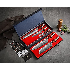 XINZUO 5-Piece Damascus Kitchen Knife Set, 67 Layer High Carbon Stainless Steel Forged Blade,Professional Chef Knife Set with Gift Box,Razor Sharp,Rosewood Handle - Yi Series
