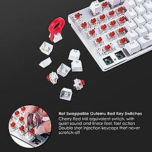 HUO JI 60% Mechanical Gaming Keyboard, E-Yooso Z-88 with Red Switches, Rainbow LED Backlit, Compact 81 Keys Hot Swappable, Silver and White