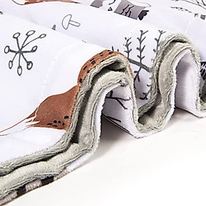 HOMRITAR Baby Blanket for Boys Girls Soft Plush Minky Blanket with Double Layer Dotted Backing for Toddler with Forest Foxes Multicolor Printed 30 x 40 Inch(75x100cm)