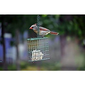 C&S Fruit n' Nut Treat 11.75 Ounces, 12 Pack