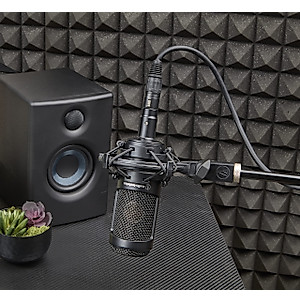 Audio-Technica AT2035 Large Diaphragm Studio Condenser Microphone (Renewed)