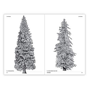 The Architecture of Trees