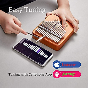 TienClef Kalimba Thumb Piano 21 Keys with Engraved Notes Deer Pattern Handhold Cute Finger Zebrawood Solid Wood Portable Musical Instrument Music Book for Kids Adult Beginner (Gradual Blue)