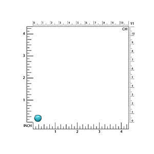 Silvershake 8mm Genuine Round Shape Arizona American Turquoise White Gold Plated 925 Sterling Silver Stud Post Earrings Jewelry for Women and