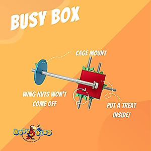 Busy Bird | Box Foraging Bird Toy - Rounded Corners, Non-Removable Wing Nuts - 100% Metal, Ultimate Brain Teaser and Mind Game for Medium to Extra Large Birds