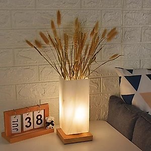 Floresita Vase Lamp Table Lamp USB Charge Flower Lamp Vase Table Lamp Dimmable Bedside Lamp Frosted Glass Shade with Wood Base for Bedroom Living Room Office Desk