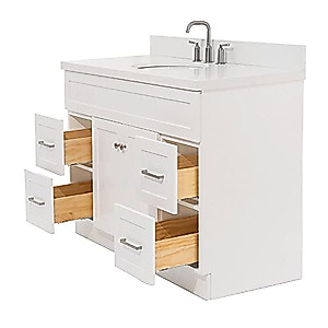 ARIEL 49" White Bathroom Vanity with 1.5" Edge Pure White Quartz Countertop & Splash, Rectangular Sink, 2 Soft Closing Doors, 4 Full Extension Dovetail Drawers, Built in Toe Kick, Brushed Nickel