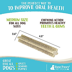 Raw Paws Dental Chews for Dogs, Medium Size, Mint Flavor, 26-oz. 29 Ct. - Made in USA - Freshen Breath & Fight Plaque & Tartar - Dog Teeth Cleaning Treat - Dog Breath Treats - Dental Sticks for Dogs
