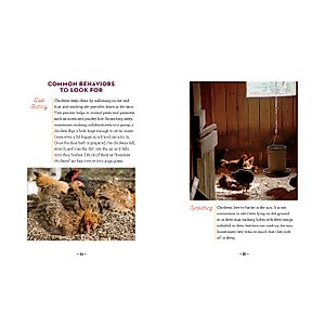 How to Speak Chicken: Why Your Chickens Do What They Do & Say What They Say