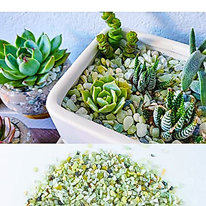 3lb Jade Bean Sand Stone-Succulents and Cactus Bonsai DIY Projects Rocks,Decorative Gravel for Plants and Vases Fillers,Terrarium,Fairy Gardening,Natural Stone Top Dressing for Potted Plants (5mm-8mm)