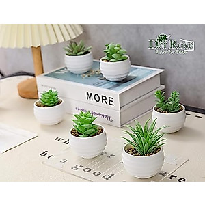Der Rose Set of 6 Succulents Plants Artificial in Pots Small Fake Plants for Bedroom Aesthetic Living Room Office Shelf Bathroom Decor