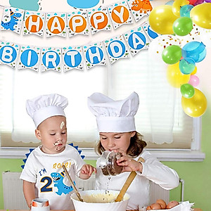 Dinosaur Birthday T Shirt - 2nd Birthday Party Supplies Toddler Boys Gift Short Sleeve White T-Shirt 100% Cotton Crew Neck T-Rex Printed Embroidery Graphic Top Tee