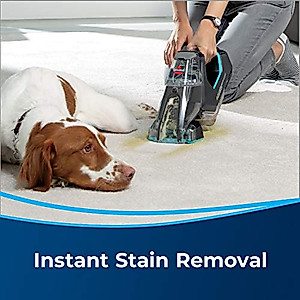 Bissell Pet Stain Eraser PowerBrush, 2837