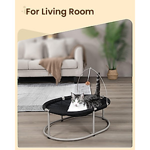 Hzuaneri Oval Raised Cat Bed, Elevated Pet Hammock, for Kitty Cat Small Dog with Pompom, Detachable and Washable, Easy Assembly Cat Cot Excellent Breathability, for Indoors & Outdoors, Black PB06701X