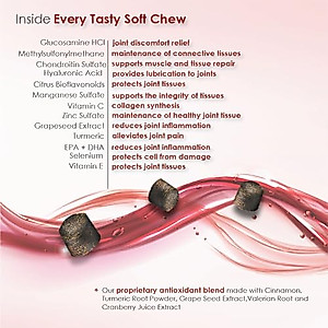 PHS Joint MAX Triple Strength (TS) Soft Chews for Dogs - Glucosamine, Chondroitin, MSM, Turmeric, Omega 3 - Hip and Joint Pain Relief and Support for Dogs - Made in USA - 30 Soft Chews