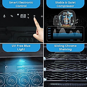 Techomey Wine Fridge Freestanding, 19 Bottle Compressor Wine Cooler Refrigerator with Digital Thermostat and Glass Door, Stainless Steel