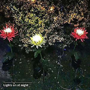 sknonr Outdoor Waterproof Garden Lawn Plug-in Light LED Solar Light Artificial Chrysanthemum Light Home Garden Decoration 3 Pieces, 80cm