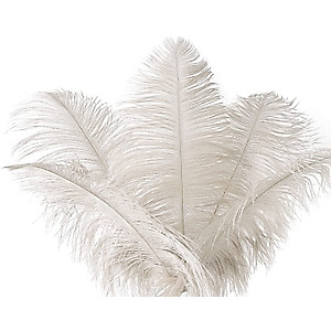 TBUY ROSE 6-9 inch 15-20cm Natural Ostrich Feathers Bulk for Christmas Halloween Home Party Wedding Centerpieces DIY Craft, 20 Pack (White)