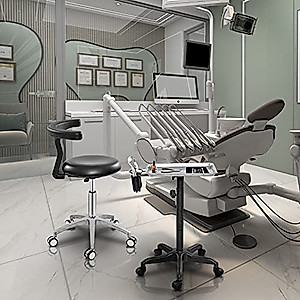 Ergonomic Home Office Desk Chair - with Lumbar Support Rolling Chair，Swivel Salon Chair ，Adjustable Dentist Chair Medical Stool for Drafting,Computer,Hospital,Clinic,Dentalhygienis,Home