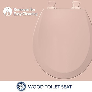 Bemis 500EC 063 Toilet Seat with Easy Clean & Change Hinges, 1 Pack Round, Venetian Pink