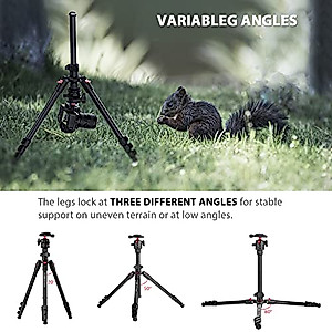 PHOPIK 64" Camera Tripod, Aluminum Camera Tripod for DSLR,Compact Tripod with 360° Panorama Ball Head, Professional Camera Tripod for Travelling, Learning and Working