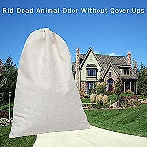 SMELLEZE Dead Animal Smell Eliminator Deodorizer Pouch: Rid dead rat smells, dead animal odors, dead mouse odor & dead rodent smell - even in wall