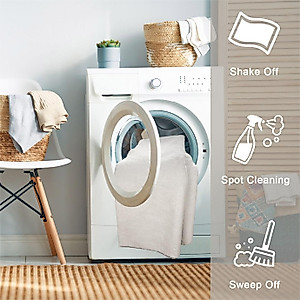 LIVEBOX Princess Pink Rug 3x5 Feet,Fluffy Rug for Girls Bedroom, Cute Furry Rug for Baby Kids Nursery Room, Non Shedding and Non Slip Washable Rug Shaggy Carpet for Living Room Teen Dorm