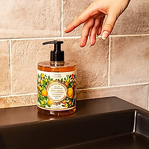 Panier des Sens - Marseille Liquid Hand Soap - Provence Hand Wash - Moisturizing Soap with Coconut Oil - Bathroom & Kitchen Refillable Soap - 97% Natural Ingredients Made in France - 16.9 Fl.oz