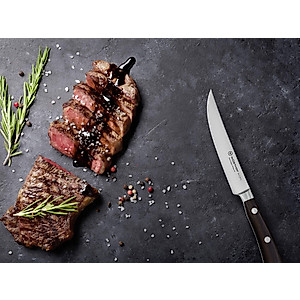 WÜSTHOF IKON Blackwood 4.5" Steak Knife