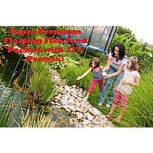 FAMILY FARM AND FEED | Premium Floating Fish Food | Pond and Lake | Pellets | 2 Pounds