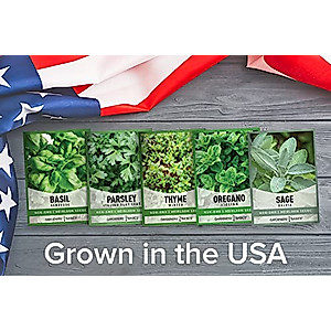 Italian Herb Seeds for Planting 5 Variety Herbs Seed Packets Including Italian Flat Leaf Parsley, Sage, Oregano, Thyme, Basil - Great for Kitchen Herb Garden, Hydroponics Heirloom - Gardners Basics