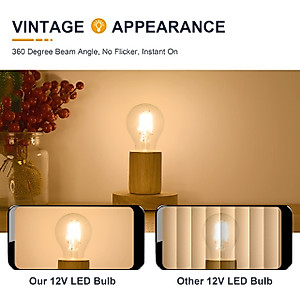 TOKCON 12V Low Voltage LED Light Bulbs - Soft Warm 2700K 4W E26 Edison Base 40W Equivalent - 12 Volt DC/AC A19 Bulb for RV Ceiling - 2 Pack