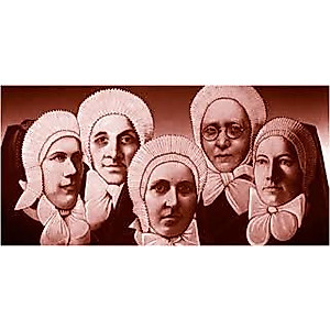 The Drina Martyrs (2007, Anto Bakovic, paperback)