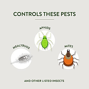 Garden Safe 32 oz. Insecticidal Soap Ready-to-Use